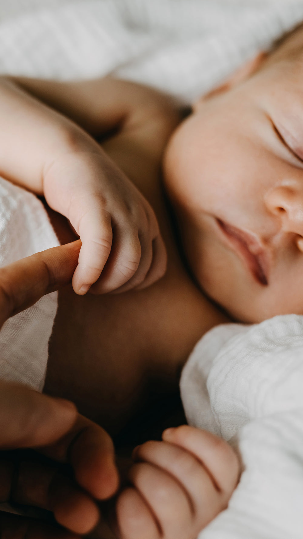 ELSA & EMIL | Unsere Story